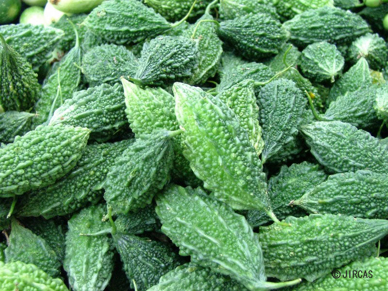 Products | Ardour Seeds India